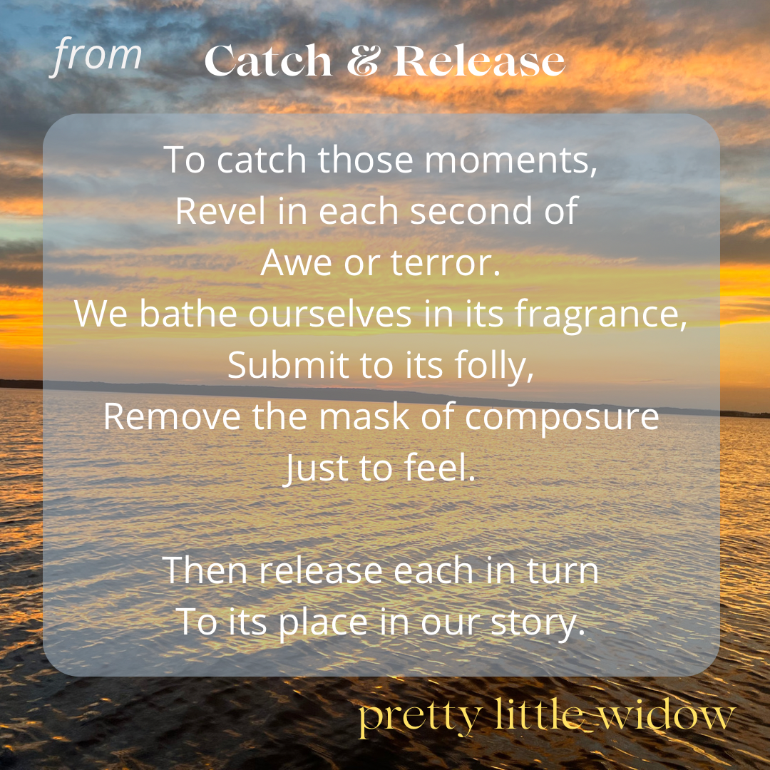Catch & Release – Shelley Jinks Johnson